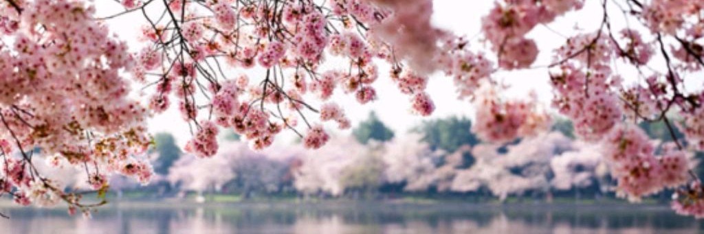 🤩Девочки феи🤩