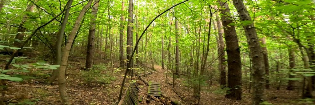 Алентьев Валерий