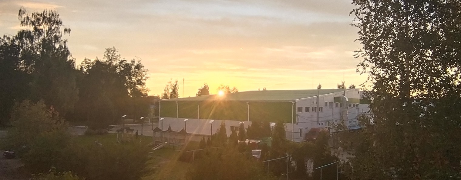 𝐴𝑛𝑔𝑒𝑙𝑖𝑛𝑎