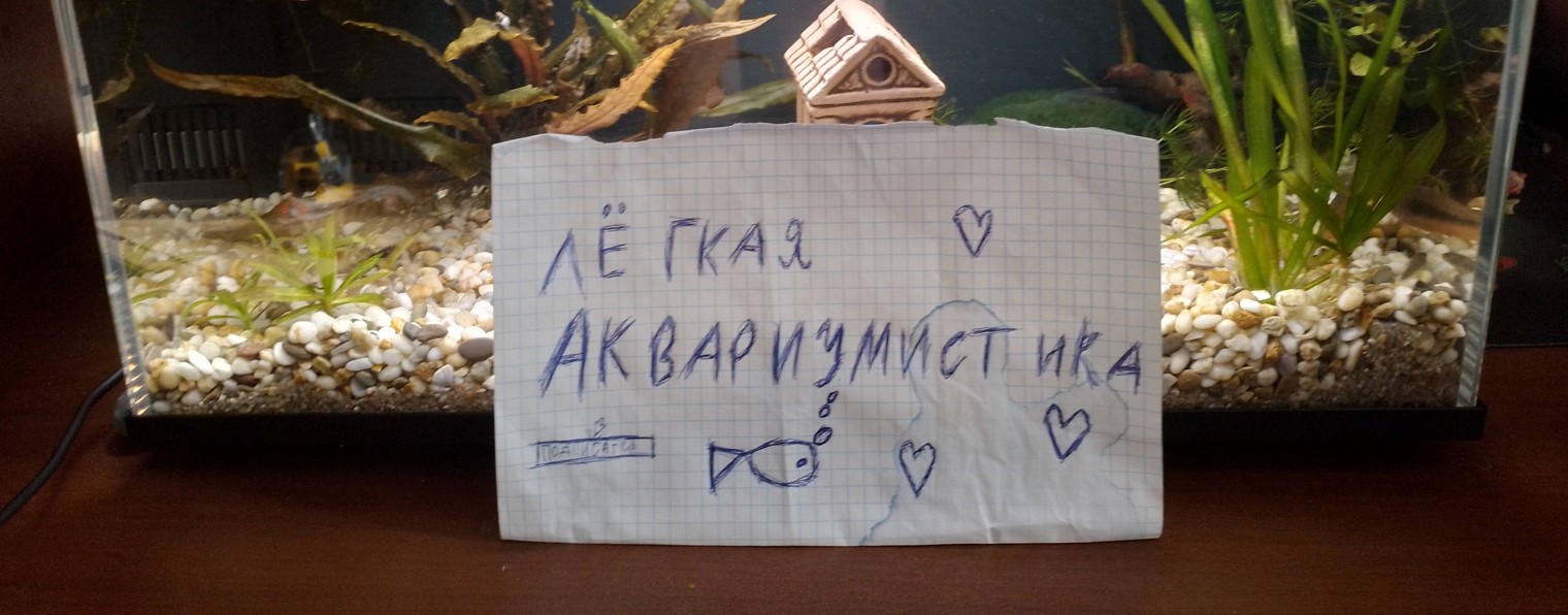 Аквариум и бизнес