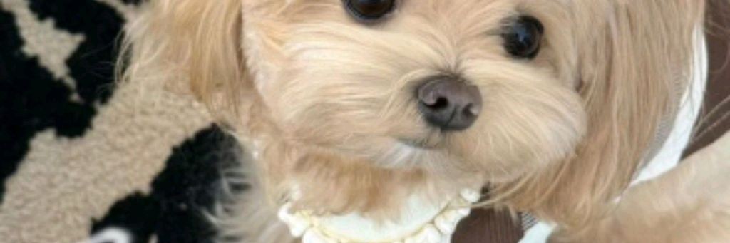 💌𝑴𝒊𝒍𝒆𝒏𝒂-𝒈𝒂𝒎𝒆𝒔ᯓ★