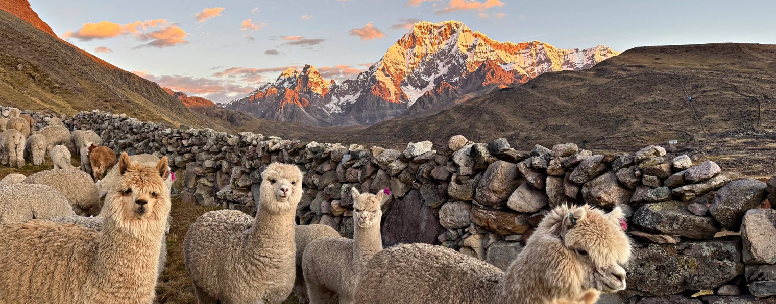 TRAVELS: TINA EDITION✈️