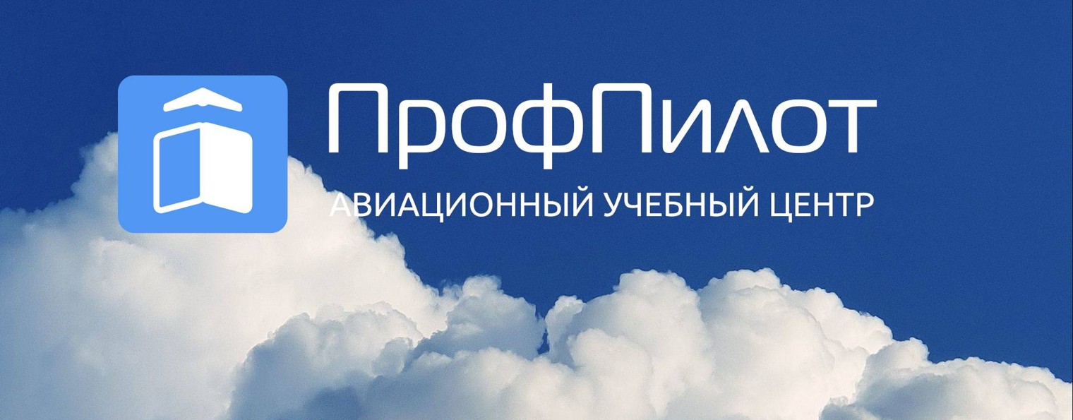 ПрофПилот
