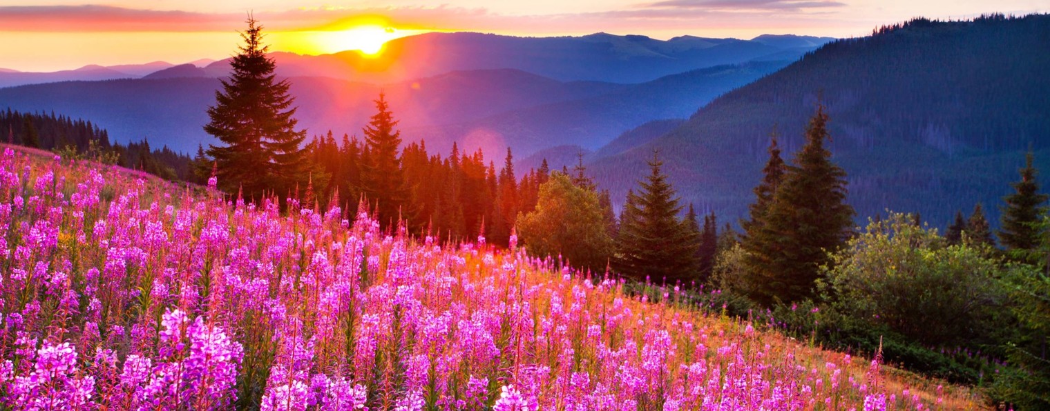 Ломанова Наталья Леонидовна