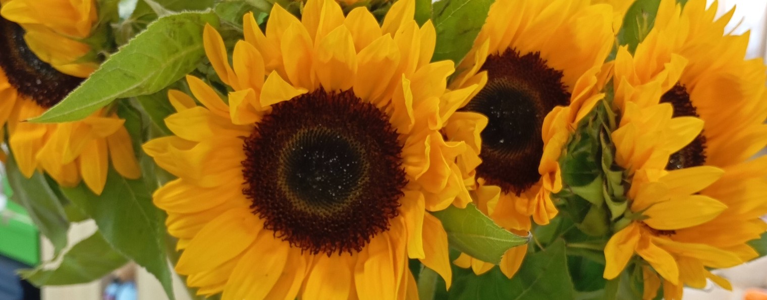 Я Люблю Готовить