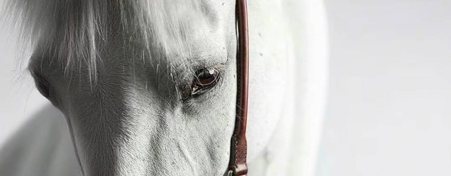 Бюро переводов "ЗАКИРЫЧ" в г. Домодедово