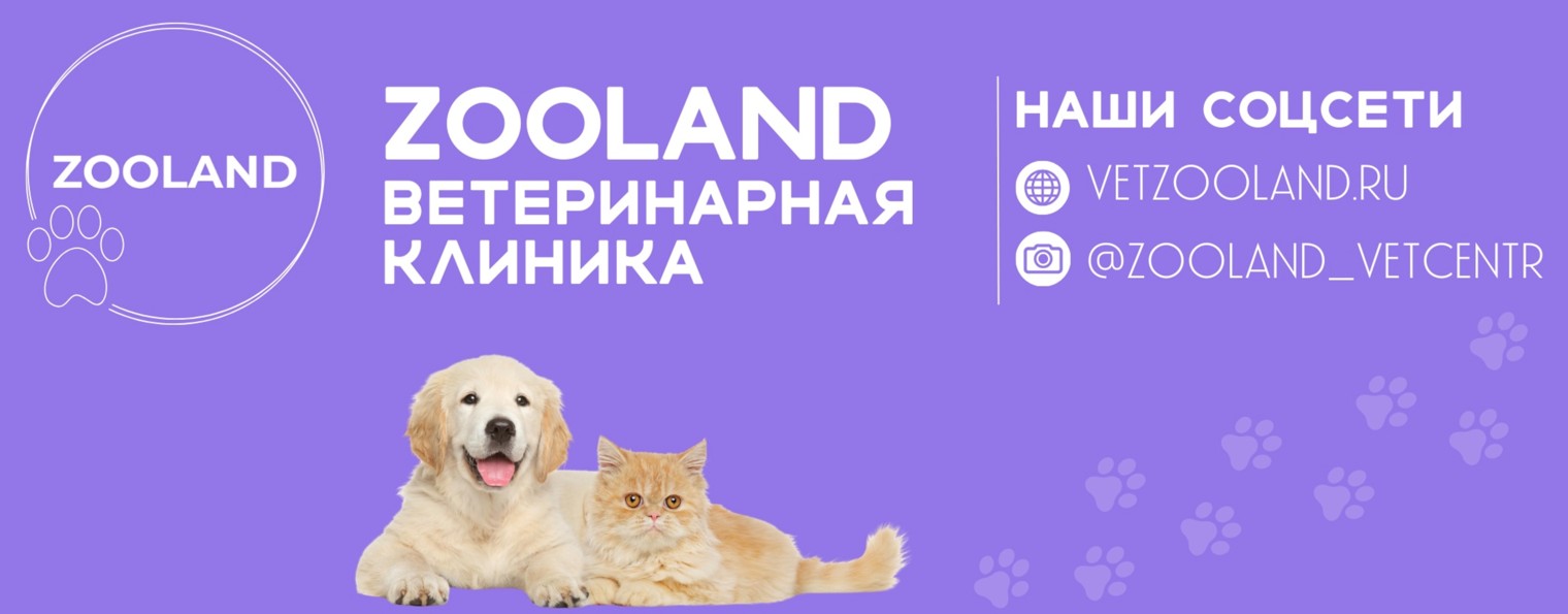 Зоолэнд — Ветеринарный центр 🐾
