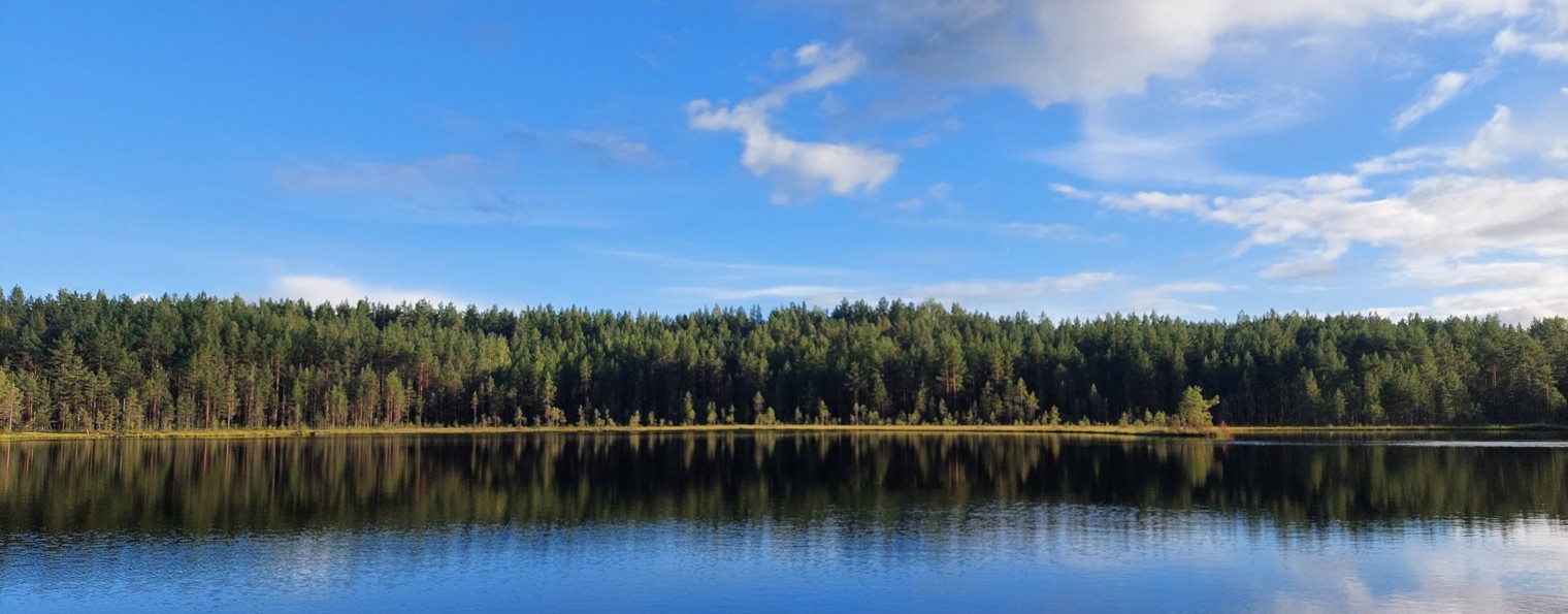 ПОЗНАЙ СВОЙ КРАЙ