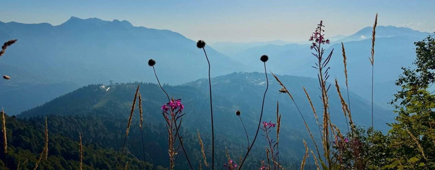 Душевный Тревел