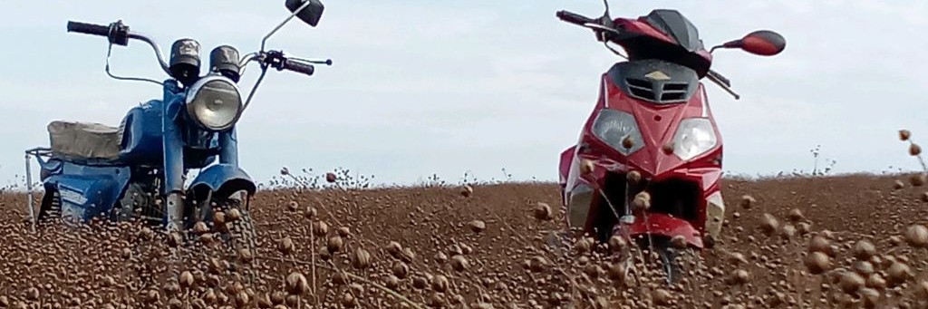 Стендофер Монстр