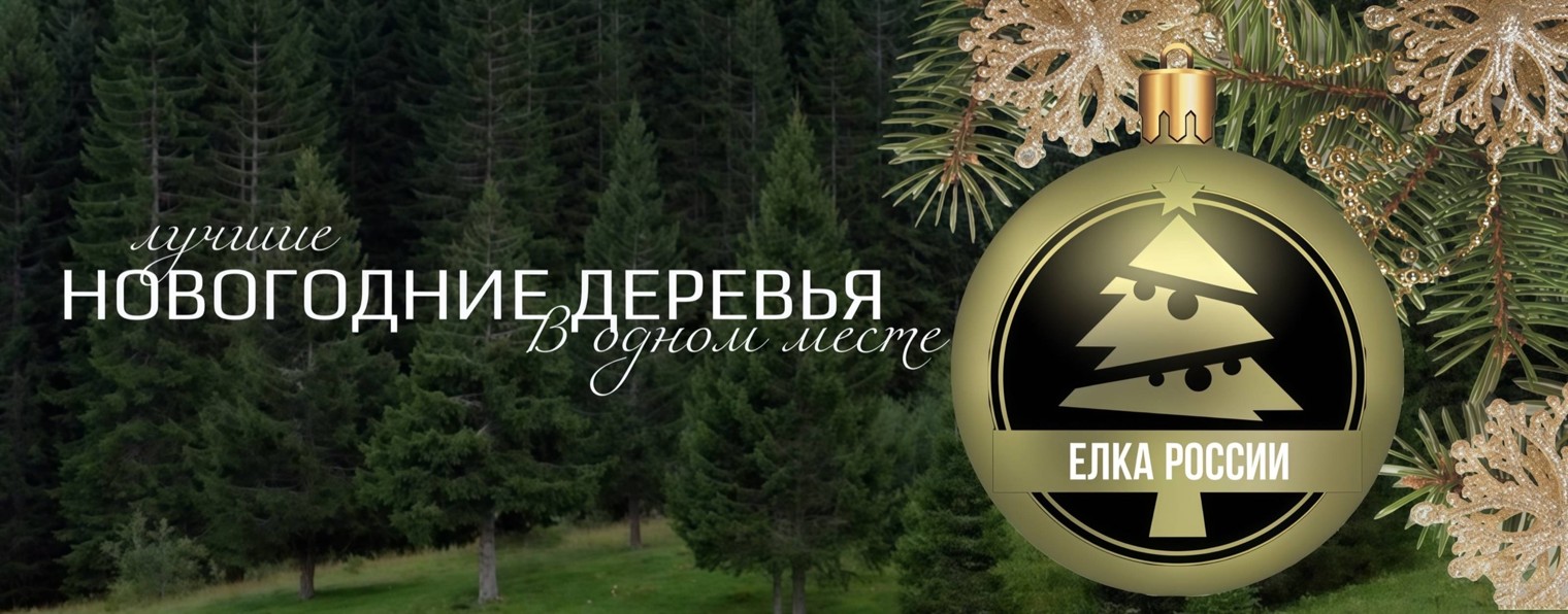 Елка России | Новогодние деревья