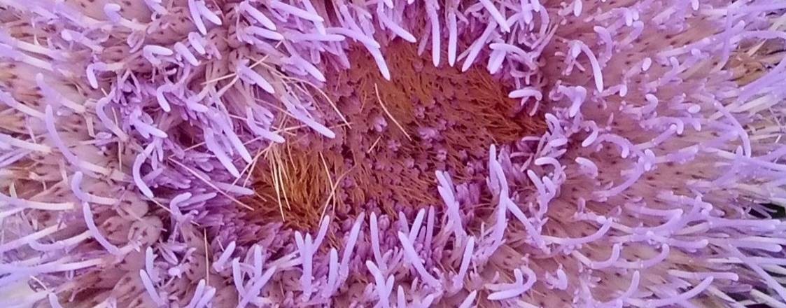 Растет все.