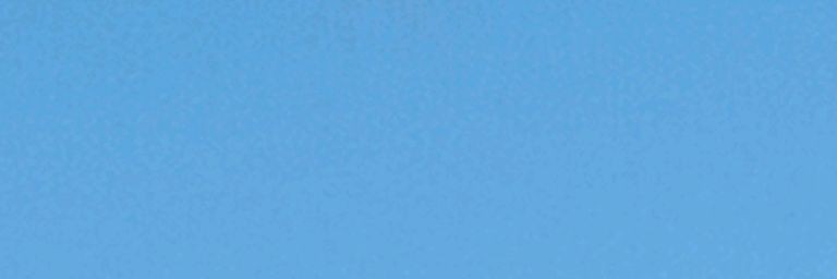 Дима Горбачёв