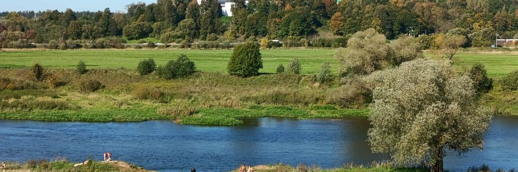 Александр Шумилов