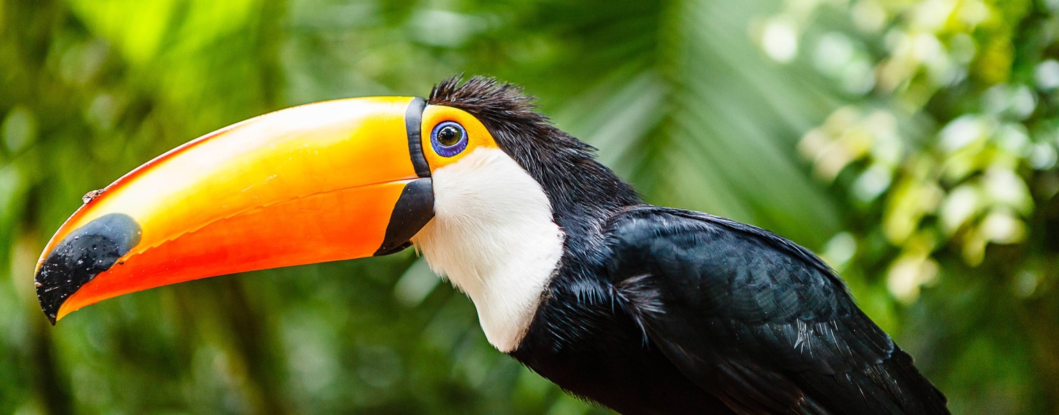 ПЕРЕЗАЛИВЫЧ