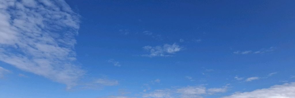 Заботливый Астролог