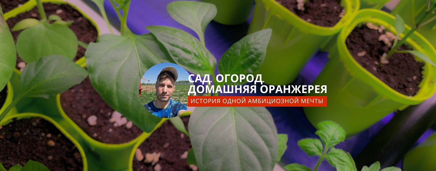 Чубаровское хозяйство