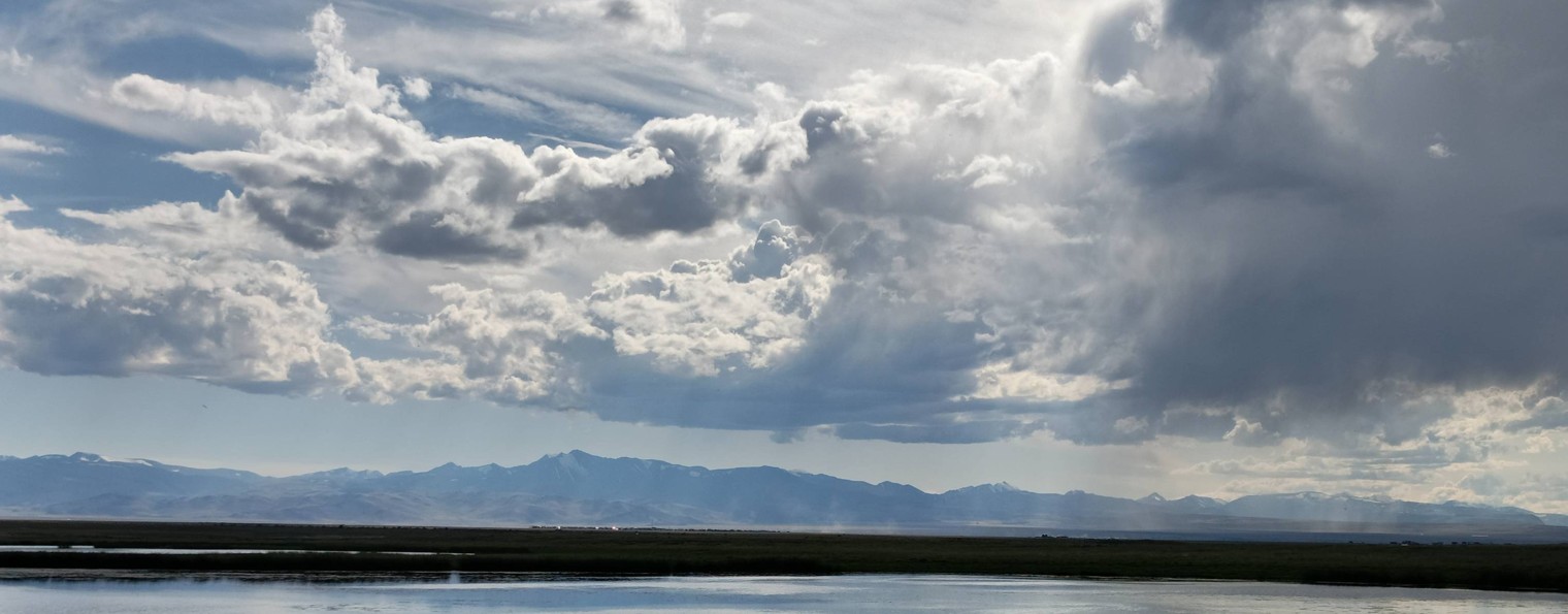 Максим Харес