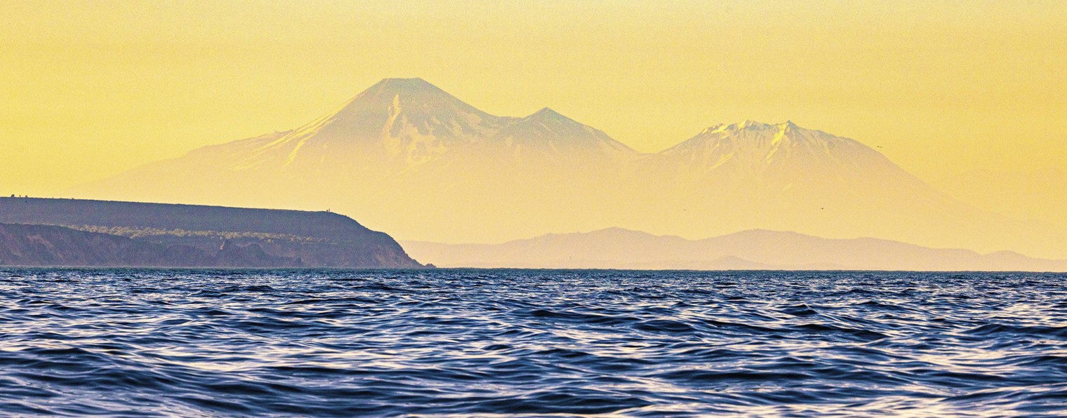 DV видеоканал