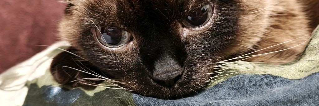 Hi Craft Ручная работа по натуральной кожи