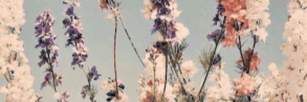 Дарья Зайцева|Системный Психолог|Расстановщик