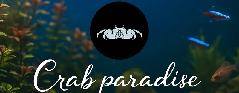 Crab Paradise