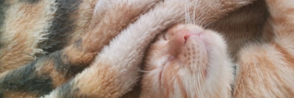 Симба И Лиза