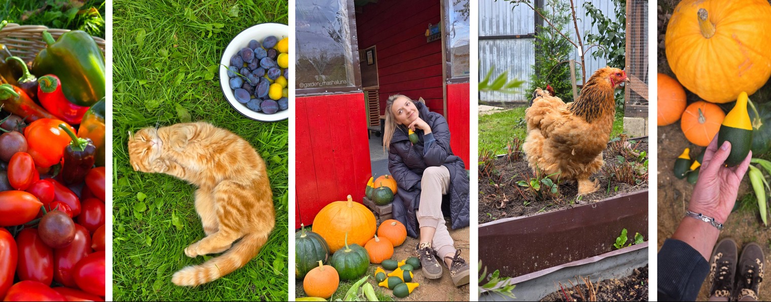 Дневник упрямого садовода