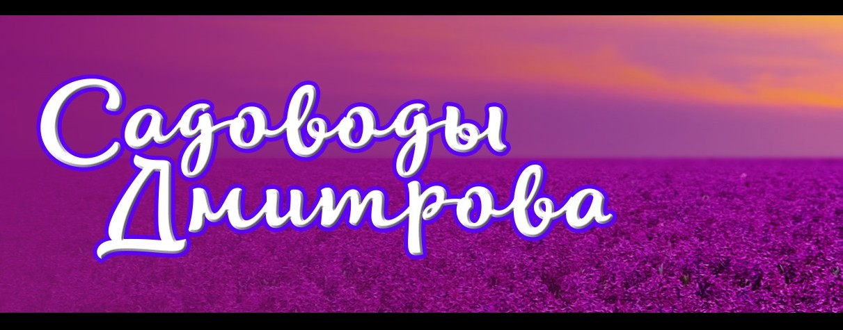 Садоводы Дмитрова