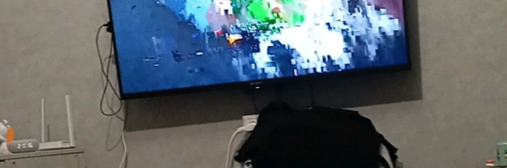 ꧁✧✡Meowl✡✧꧂