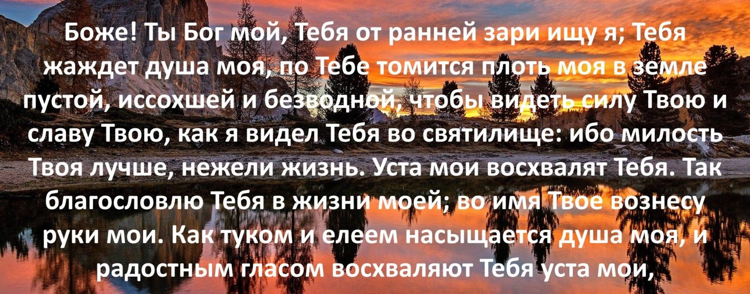 Тебя от ранней зари ищу я
