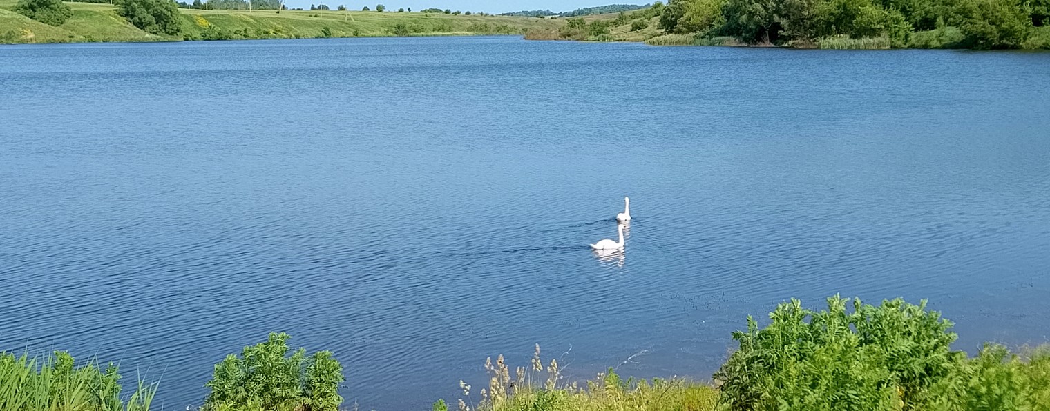 Про Рыбалку