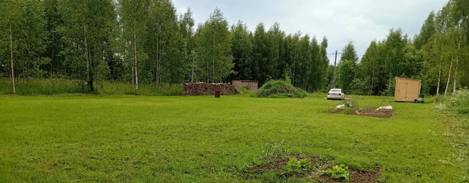 Наша Фазенда