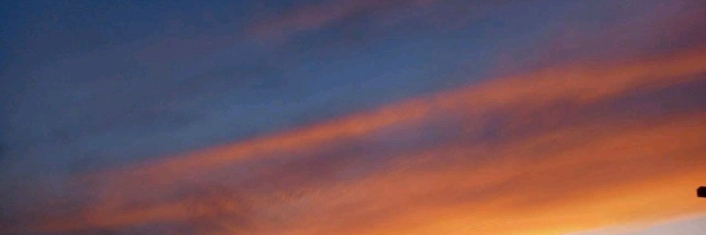 Точно путешественник?