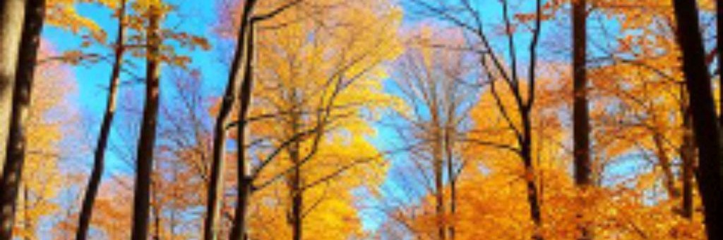 Sonic_777 перезаливы