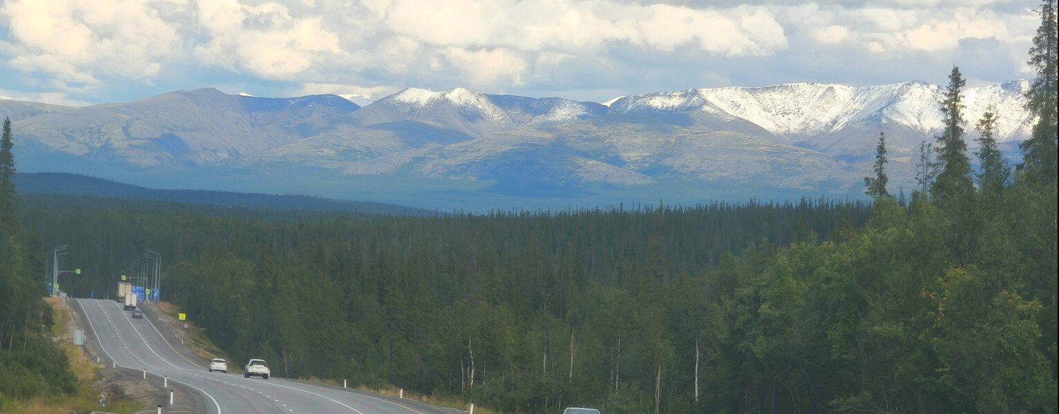 Всё В Ёлочку 🌲