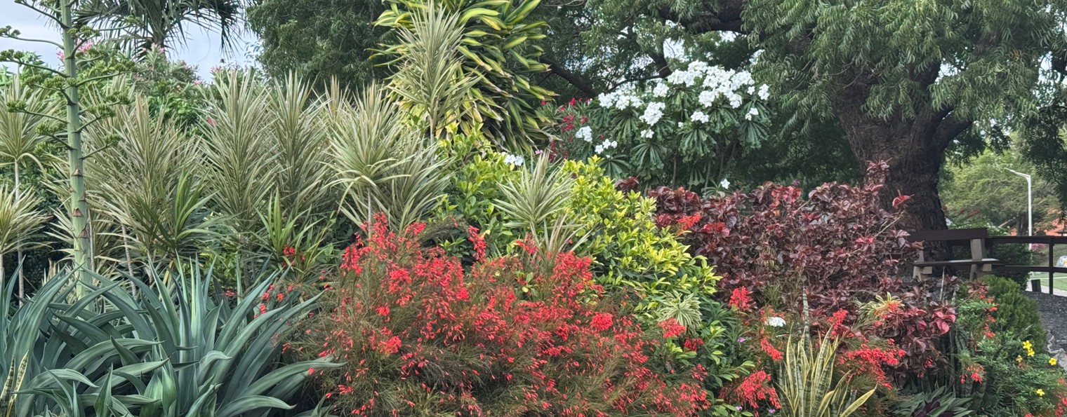 Савелий Сибиряк