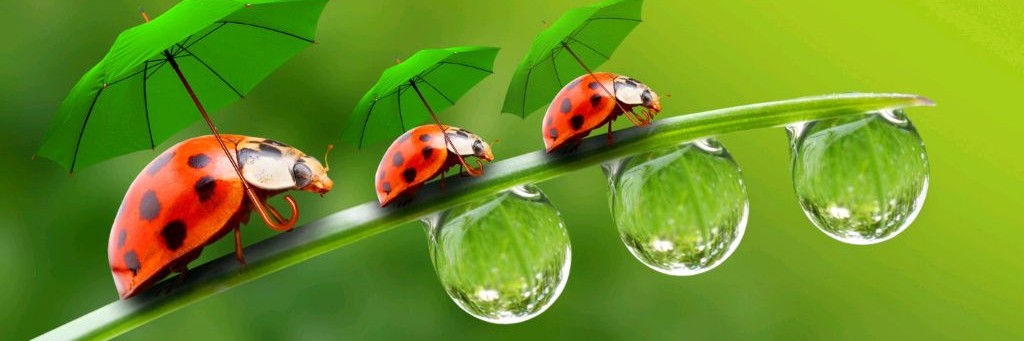 Сергей Чернышов