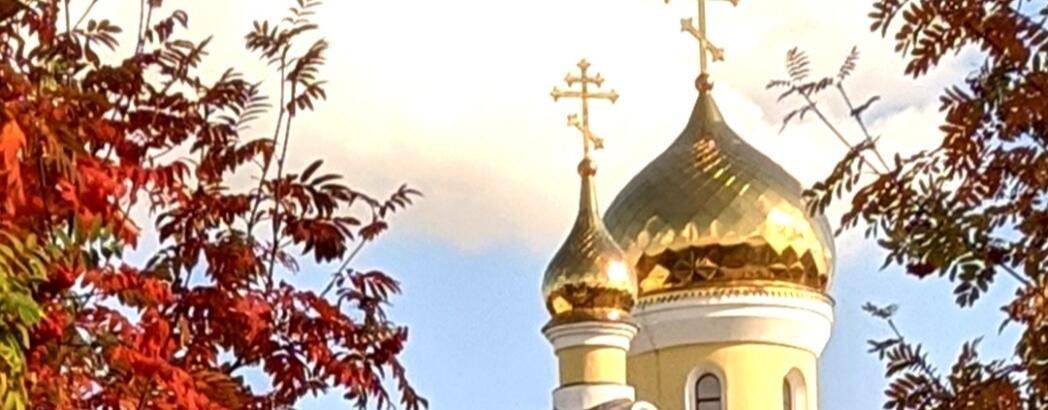 Ольга Попова