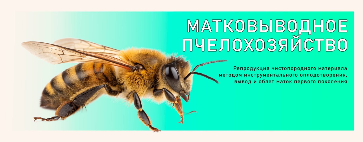 КФХ "Лесная поляна"