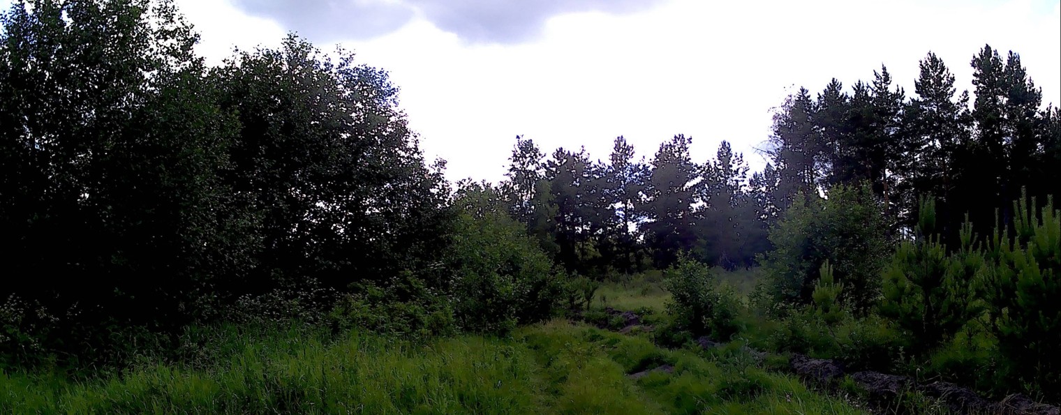 как-то-так...