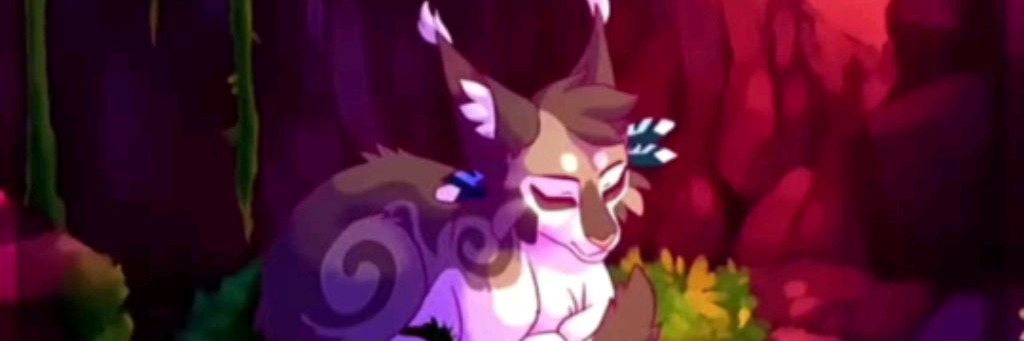 Кофейные Зёрна