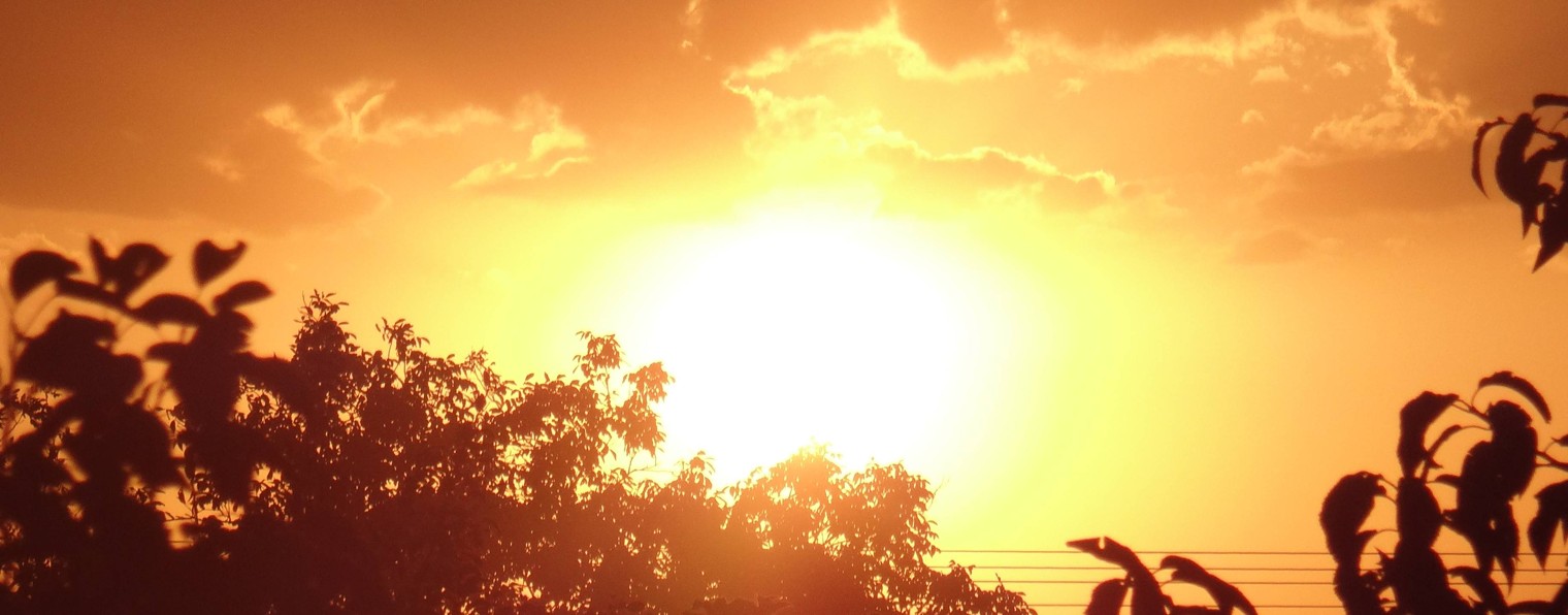 Yatsan Sun Li: Киномастерская