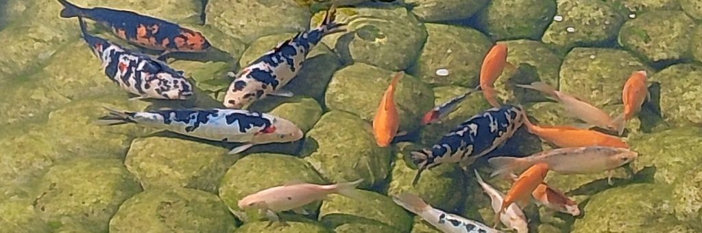 Жизнь На селе