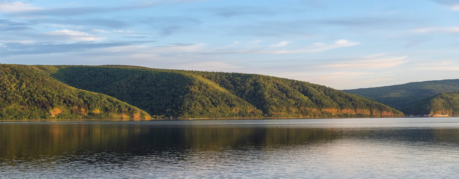 Роман Нижнеамурский