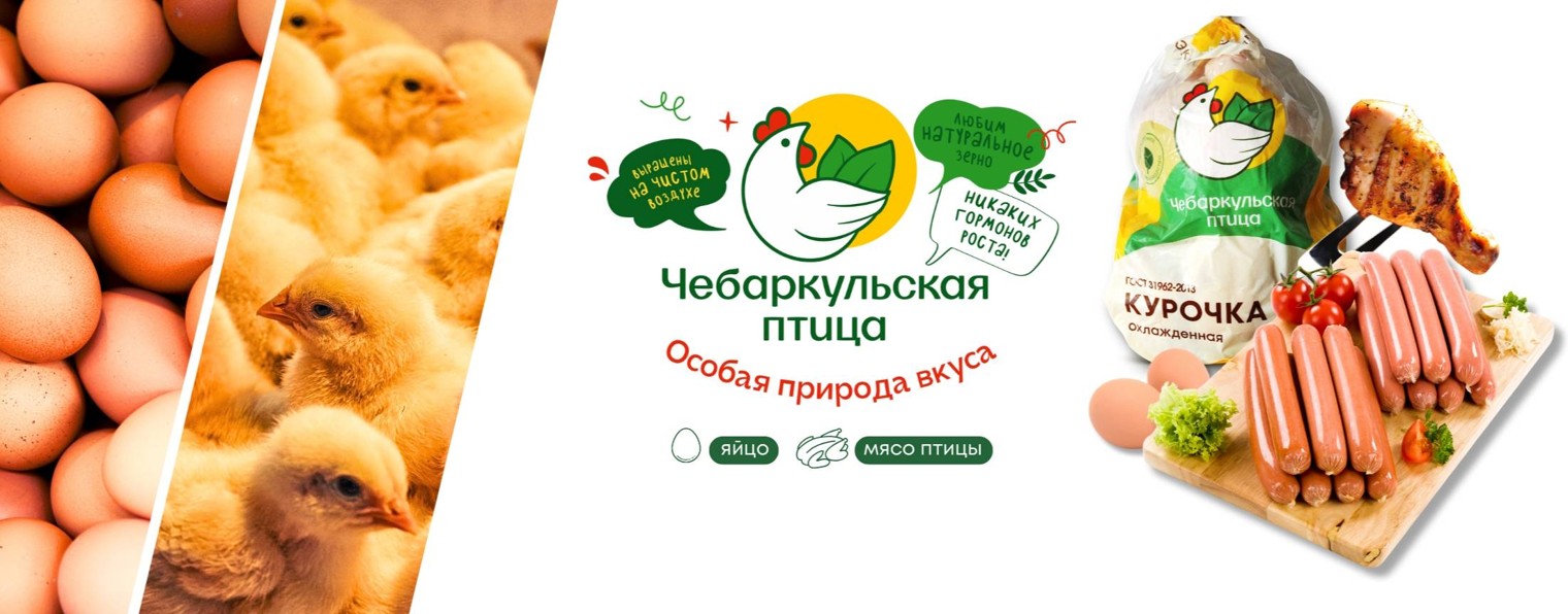 Чебаркульская птица