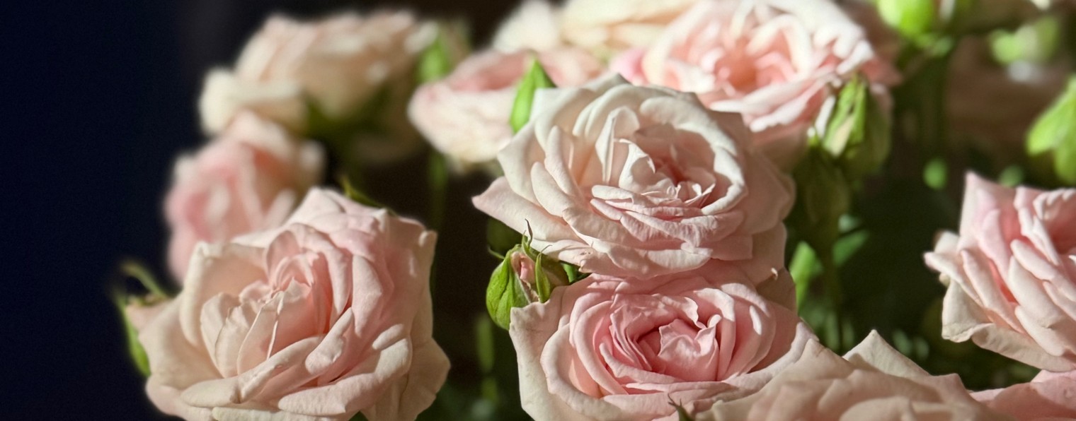 Дарья | Таро | Матрица судьбы