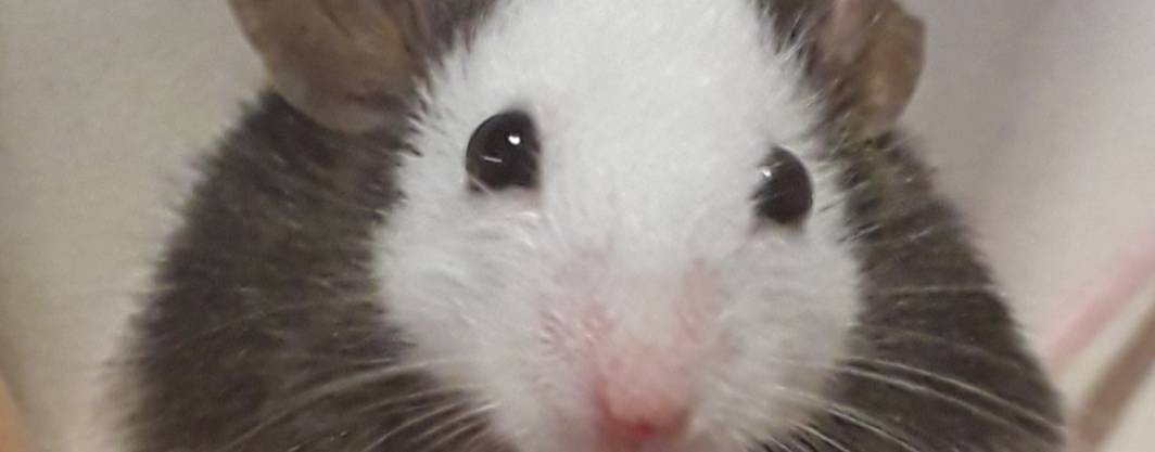 Давай со мной