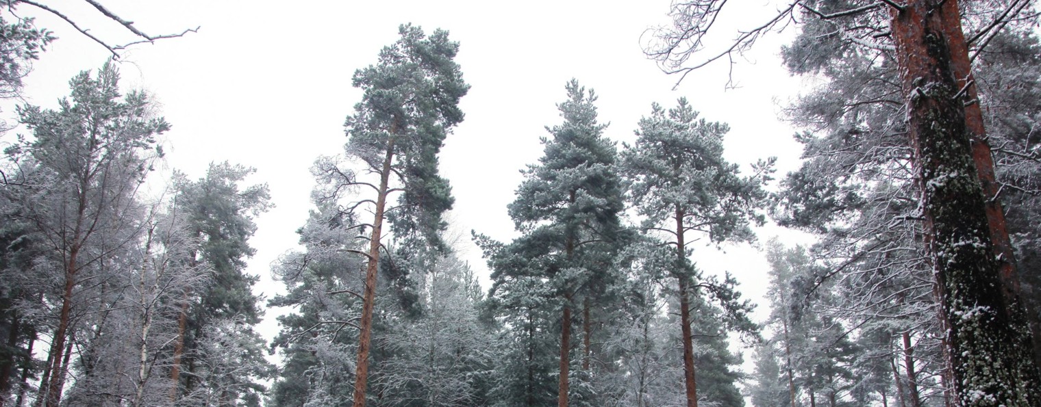 Вячесл@в Murzilkin