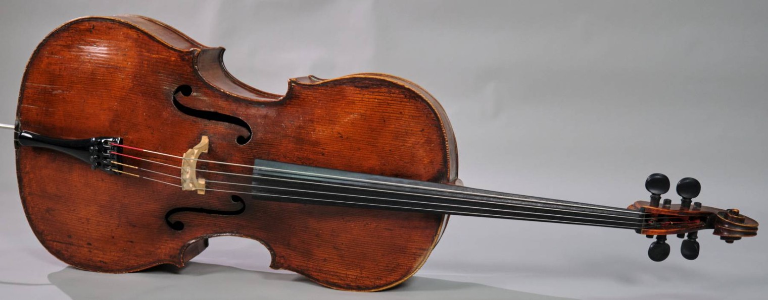 Анна Желтухина